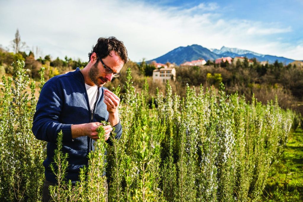 L’entreprise florissante de Samuel Moussali - Magazine Village