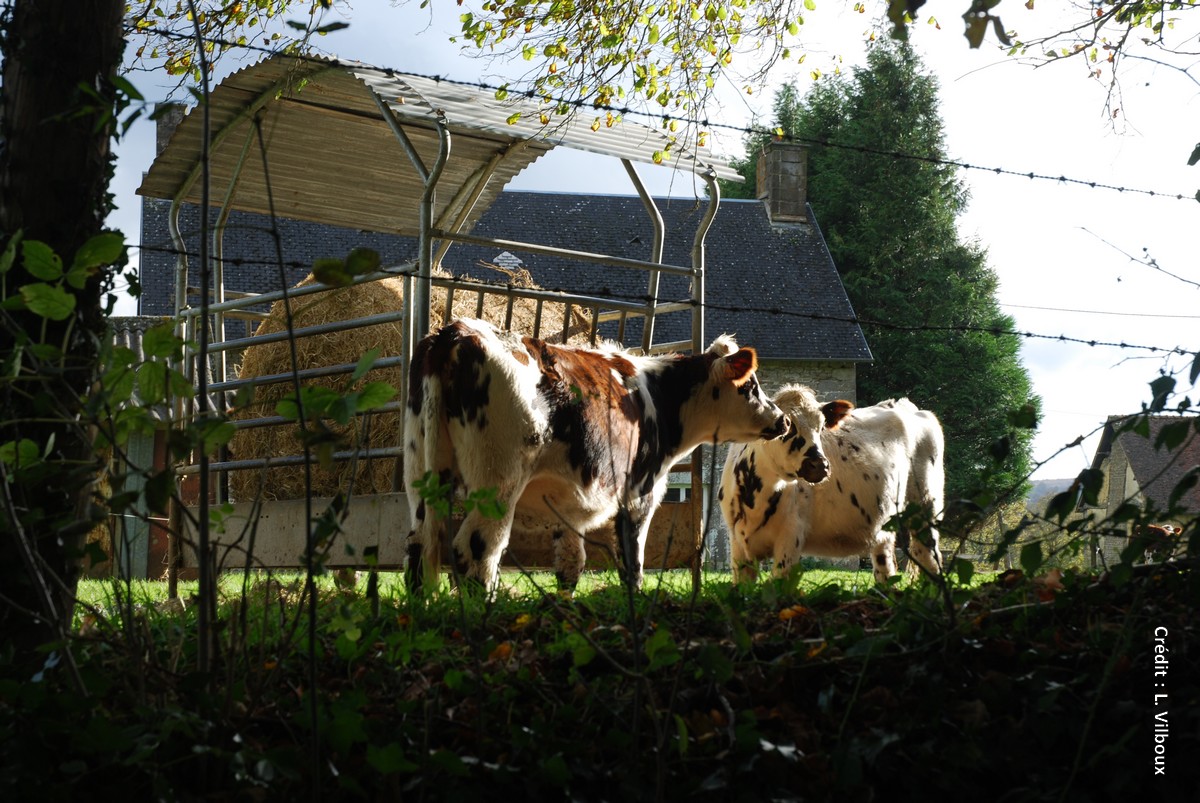Formation décideurs : installation et transmission en bio - Magazine ...