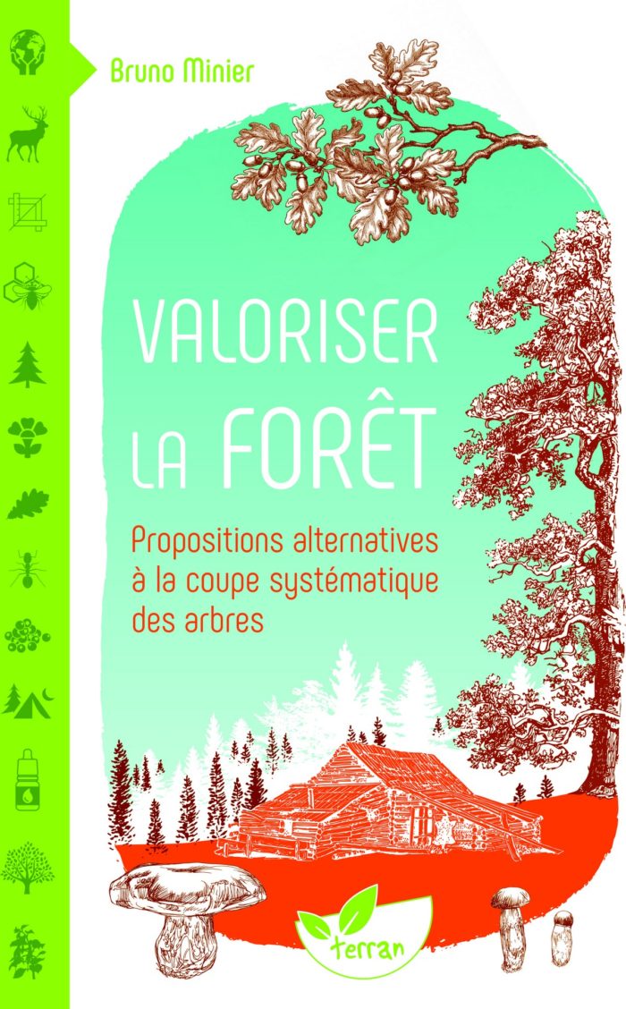 Comment mieux valoriser la forêt ? - Magazine Village